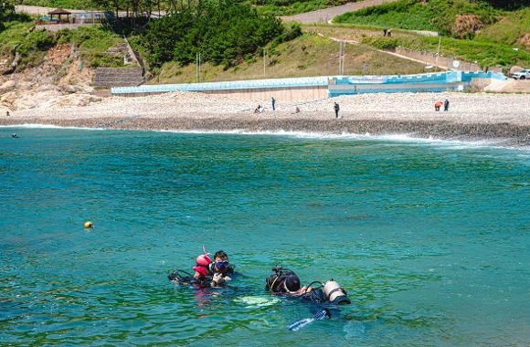 Enjoying scuba diving in Taejongdae Park – Busan Tourism Center